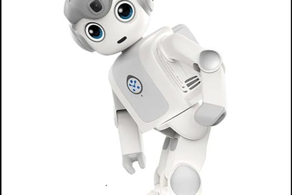 Best Companion Robots 2026: Elderly Care, Social Robots, and AI Pet ...